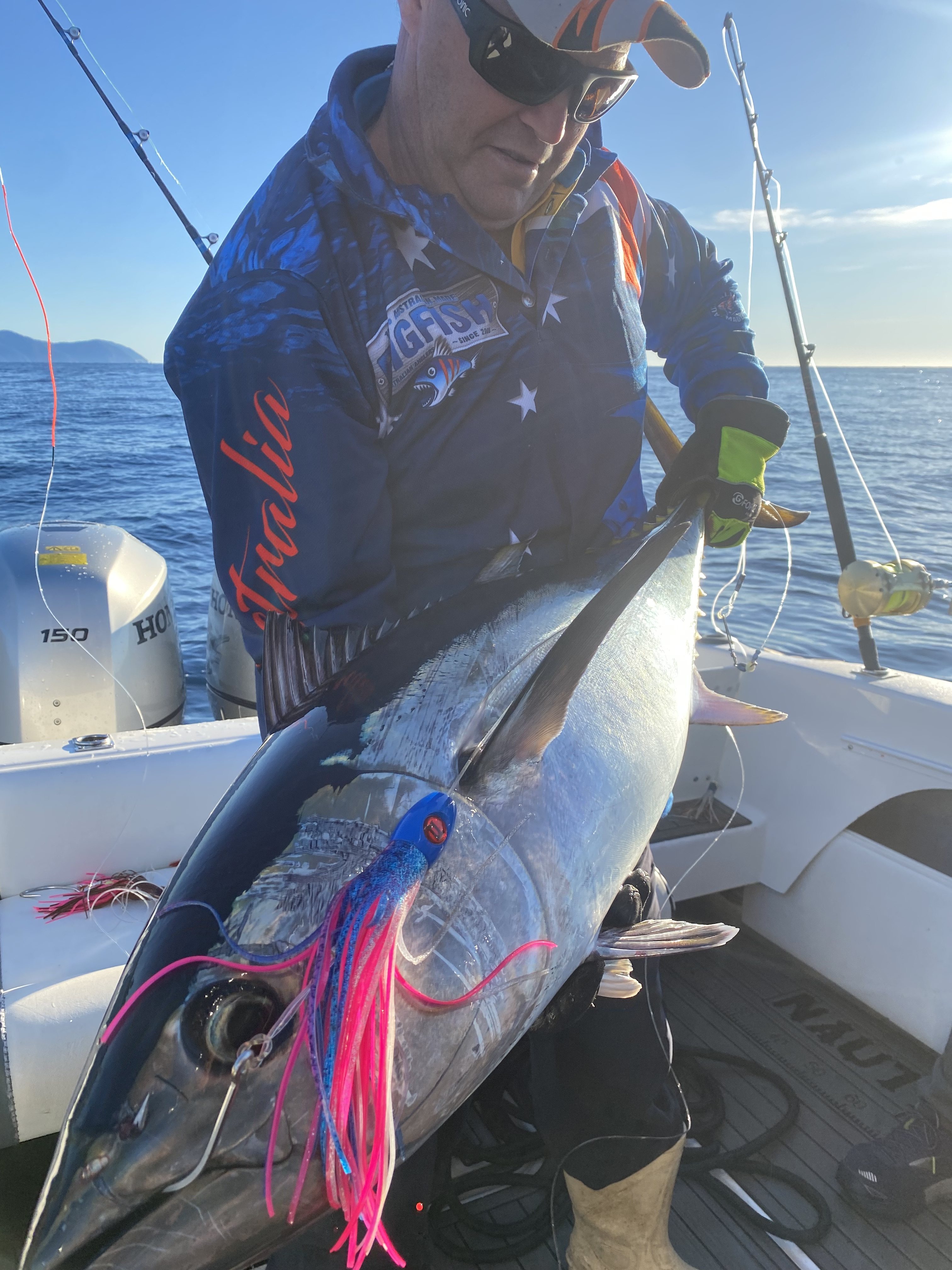 Gallery - Colorato Lures